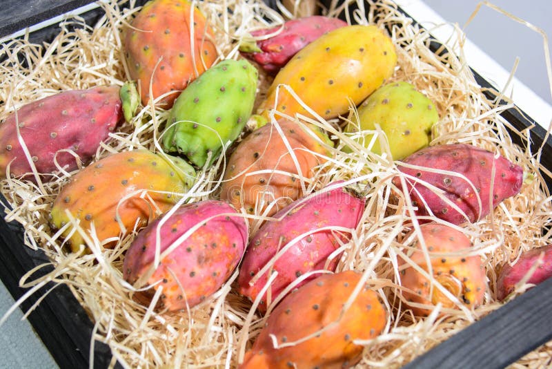 Wild Colours for Wild Fruits Stock Photo - Image of wild, wreath: 140636724