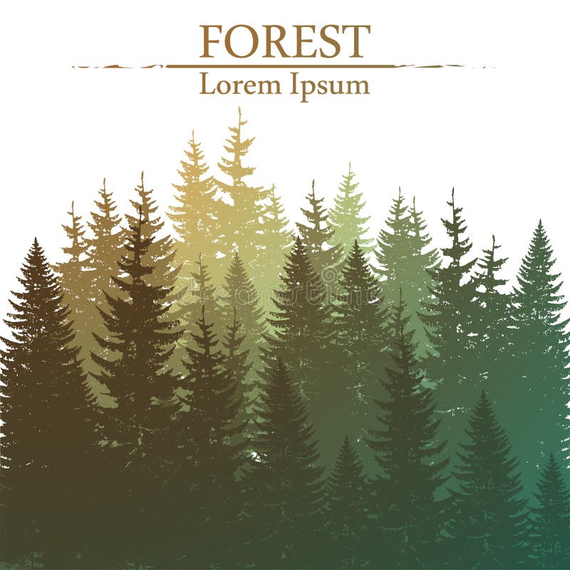 Wild Coniferous Forest Background Stock Vector - Illustration of ...