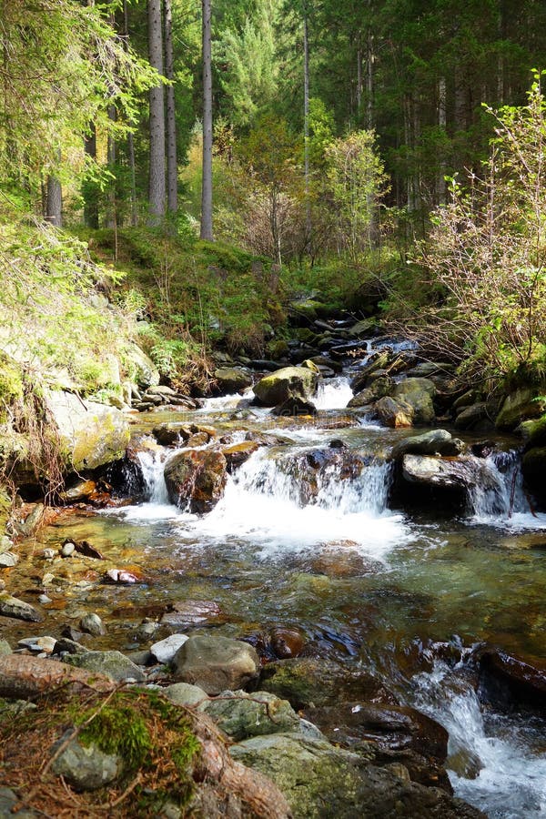 Wild creek stock image. Image of wild, region, wilderness - 101546293