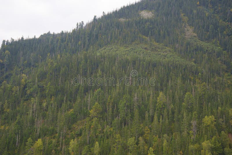 The Wild and Desolate Mountains of the Khamar-Daban. Stock Image ...