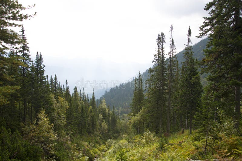 The Wild and Desolate Mountains of the Khamar-Daban. Stock Image ...