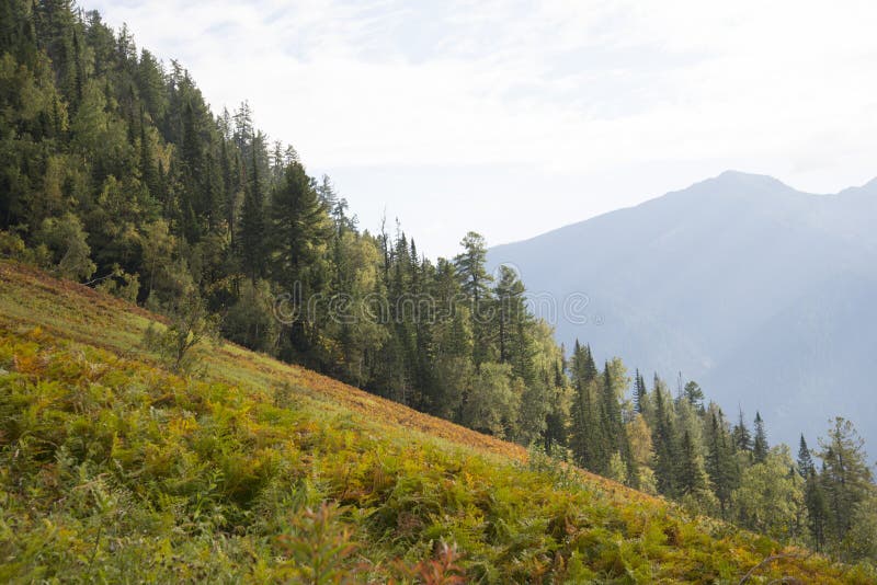 The Wild and Desolate Mountains of the Khamar-Daban. Stock Image ...