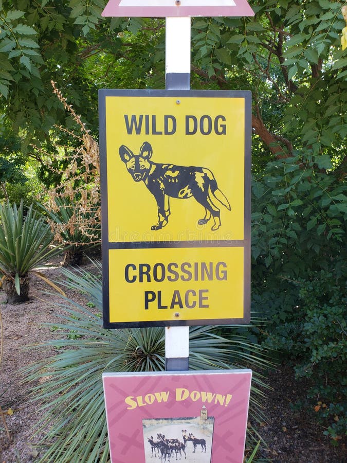 Wild Dog Crossing stock image. Image of wild, sign, crossing - 125642757