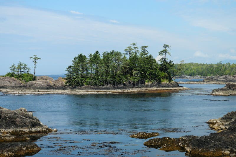 Wild and Dramatic Scenery Along Lighthouse Loop on Wild Pacific Trail ...
