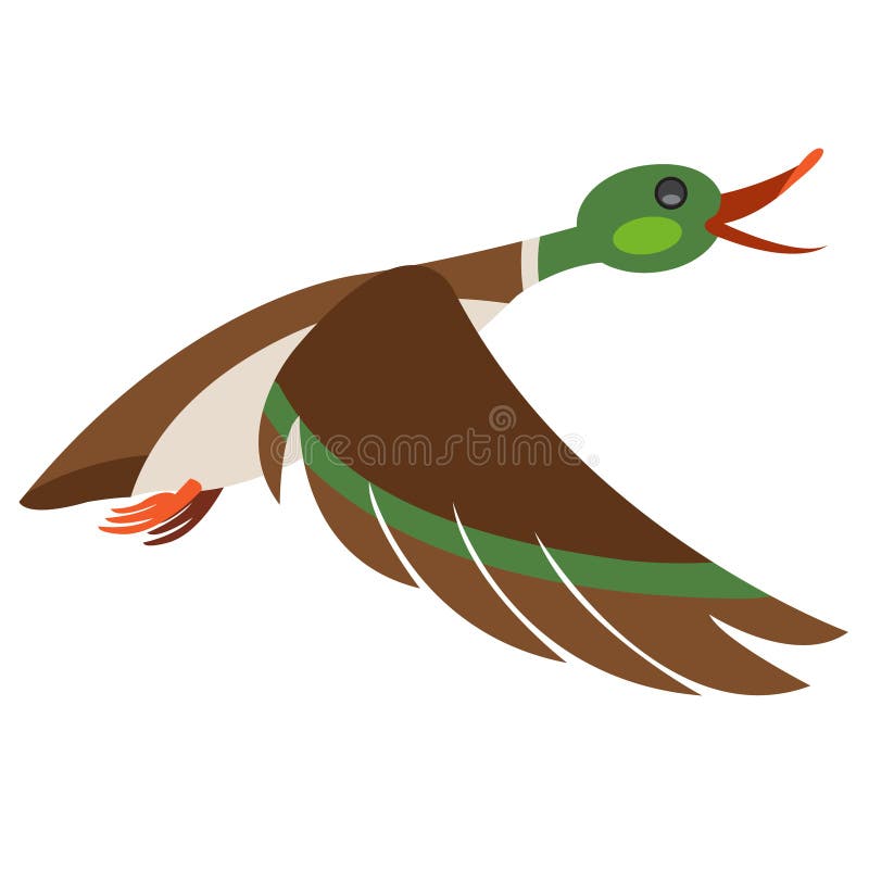 Wild Duck Flying Icon Outline Drawing Stock Illustration - Illustration ...