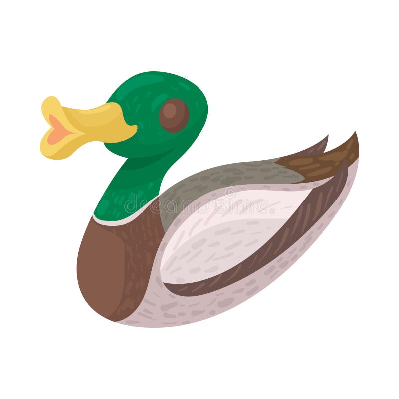 Wild Duck Icon, Cartoon Style Stock Vector - Illustration of duck, sign ... Wild Duck Icon, Cartoon Style Stock Vector - Illustration of duck, sign ...