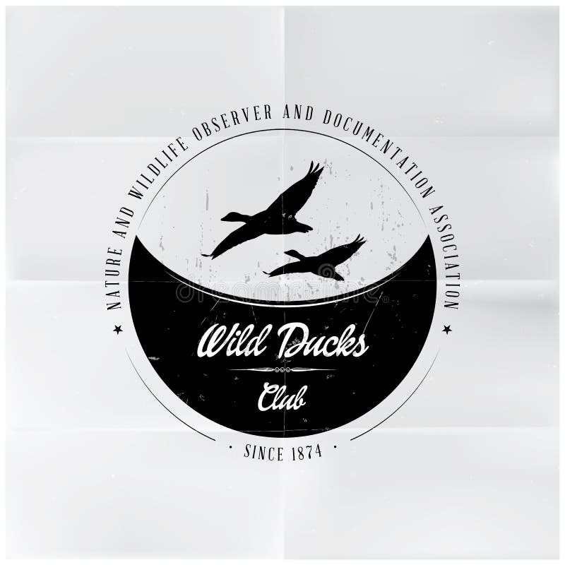 Wild Ducks Club Badge stock vector. Illustration of club - 38981263