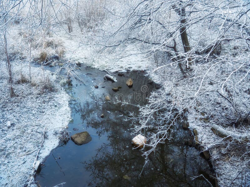Wild Ducks on Snow in Winter on River Ice Stock Photo - Image of ...