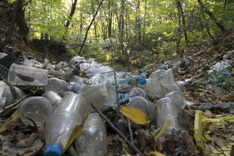 Wild Garbage Dumps Stock Photos - Free & Royalty-Free Stock Photos from ...