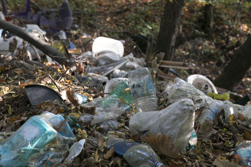 Wild Garbage Dumps Stock Photos - Free & Royalty-Free Stock Photos from ...