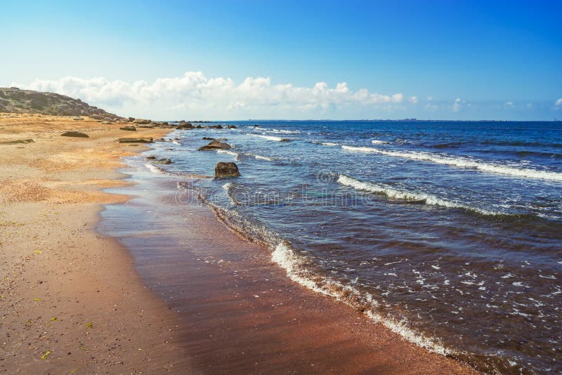 Wild Empty Beach on the Sea Coast Stock Photo - Image of ocean ...