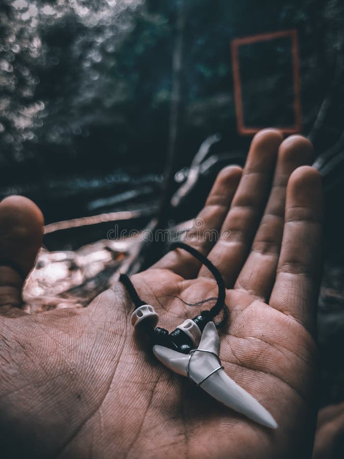 Wild fangs hand stock image. Image of person, darkness - 266985177