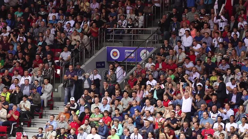 Wild Fans at Sporting Event Stock Footage - Video of definition, male ...