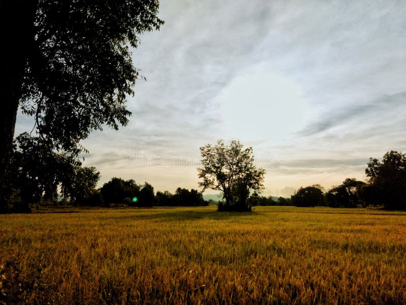 Field - feeling stock image. Image of season, field - 131349953