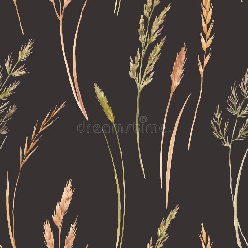 Wild Field Grass Vector Pattern Stock Vector - Illustration of artwork ...