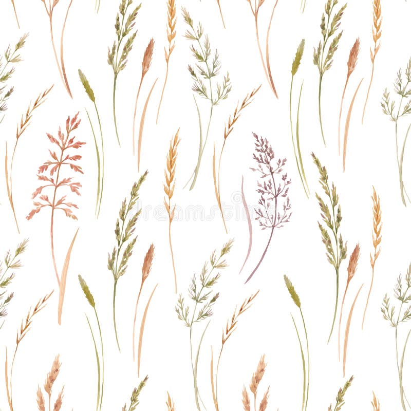 Wild Field Grass Vector Pattern Stock Vector - Illustration of field ...