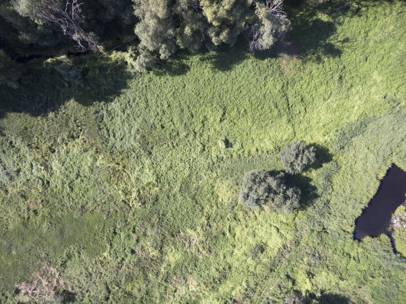 Wild field, aerial view stock image. Image of natural - 178340053