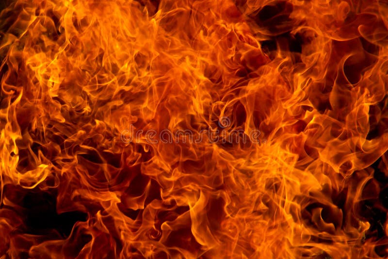 Wild fire stock photo. Image of wild, burn, flame, light - 43445528