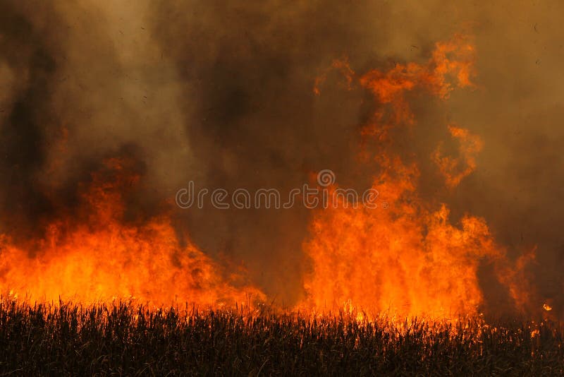 Wild Fire Burning Bright, Blurry Stock Image - Image of field, natural ...