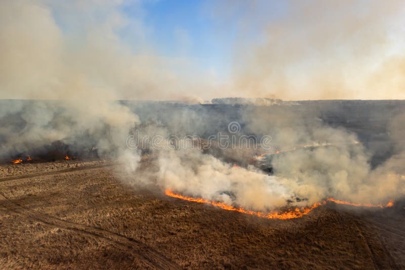 Dangerous Wildfire in Field Stock Image - Image of environment, nature ...