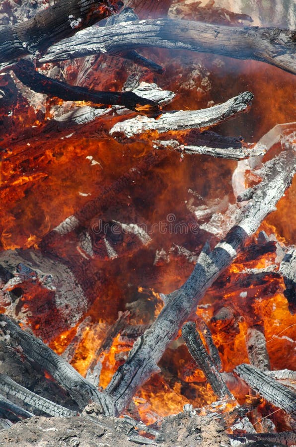 Wild Fire 2 stock image. Image of heat, burning, fire - 154393159