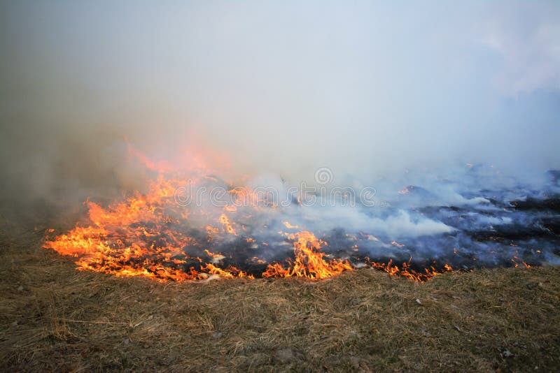 Wild Fire Spreading through the Field of Grass Stock Photo - Image of ...