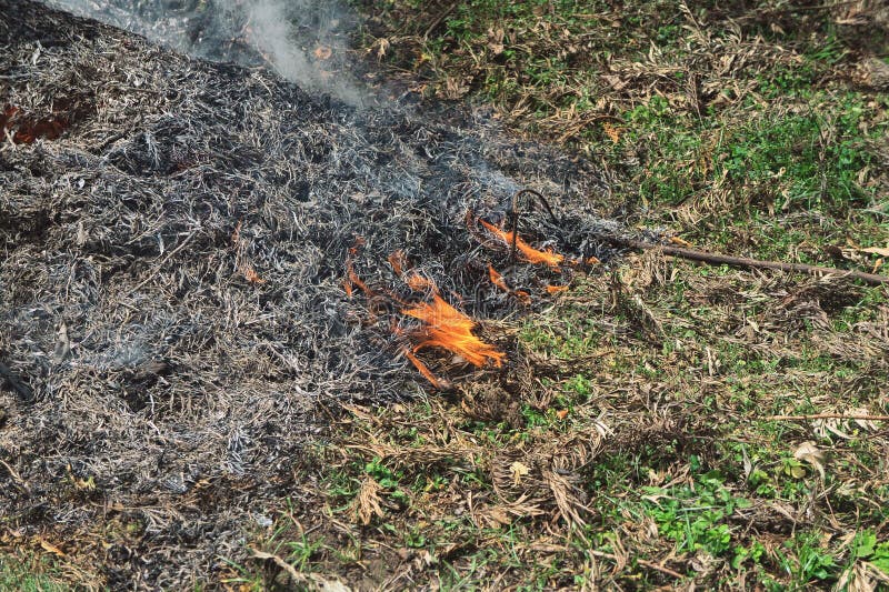 Wild Fire Starting stock image. Image of burning, spark - 240304313