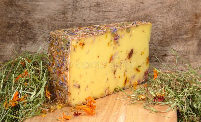 Wild flower cheese stock photo. Image of flowers, blossoms - 29491268