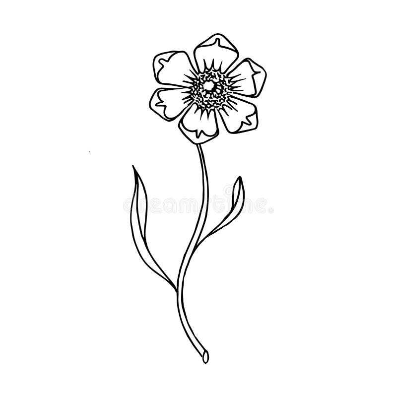 Efflorescence Stock Illustrations – 235 Efflorescence Stock ...