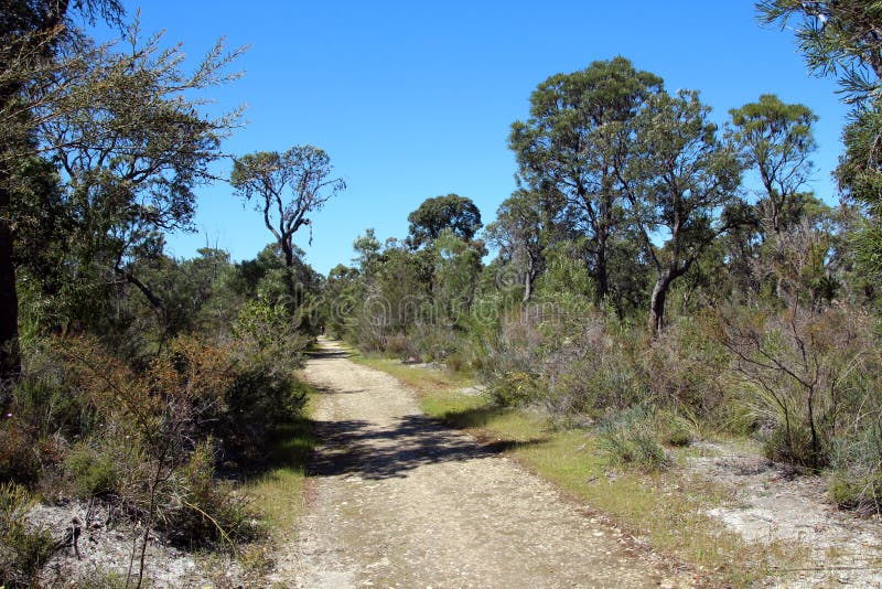 Wildflower Walking Path Around Mountain Lake Stock Photo - Image of ...