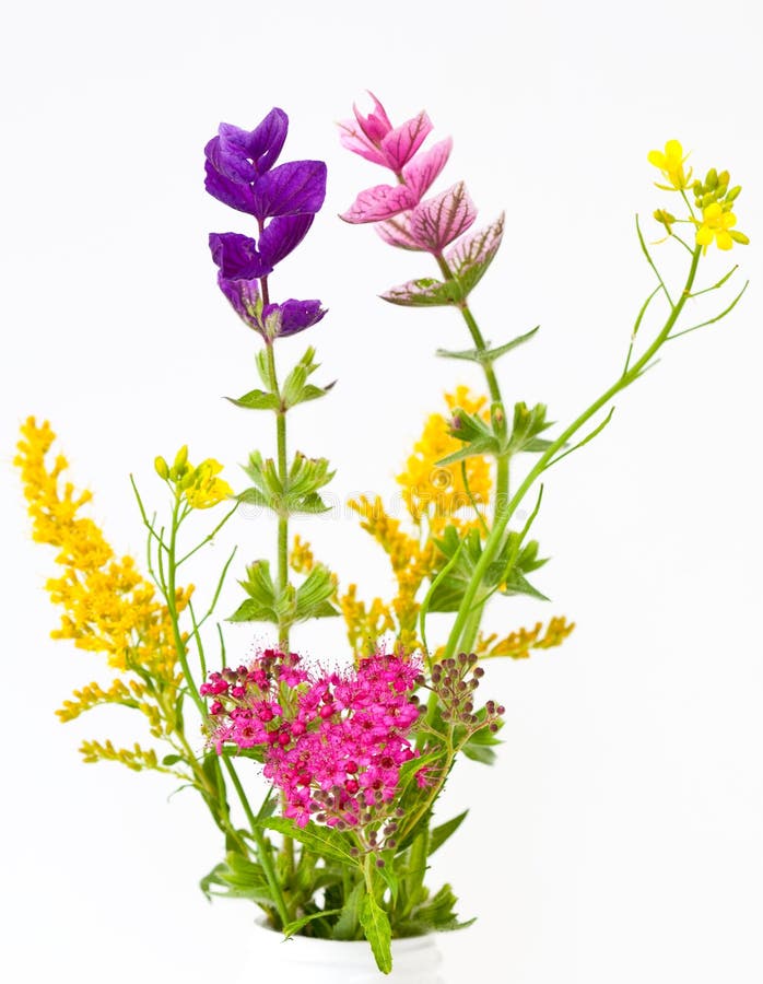 Wild flowers bouquet stock photo. Image of details, spikes - 10941124