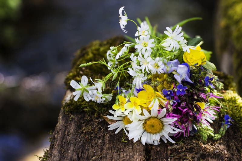 Rotten Flowers Bouquet Stock Photos - Free & Royalty-Free Stock Photos ...