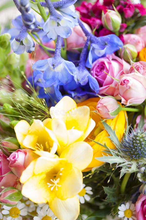 Wild Flowers with Colorful Blossoms Stock Photo - Image of bouquet ...