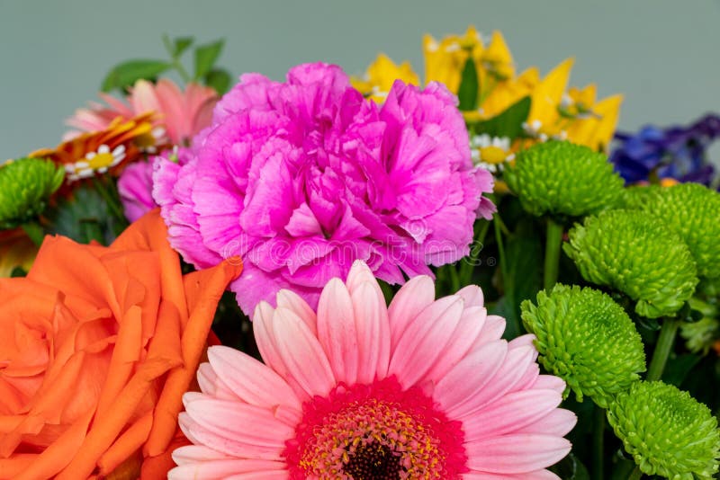 Wild Flowers stock photo. Image of colorful, wildflower - 159543614