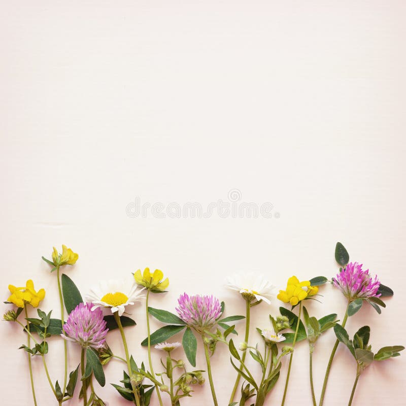 Flower Top And Bottom Border