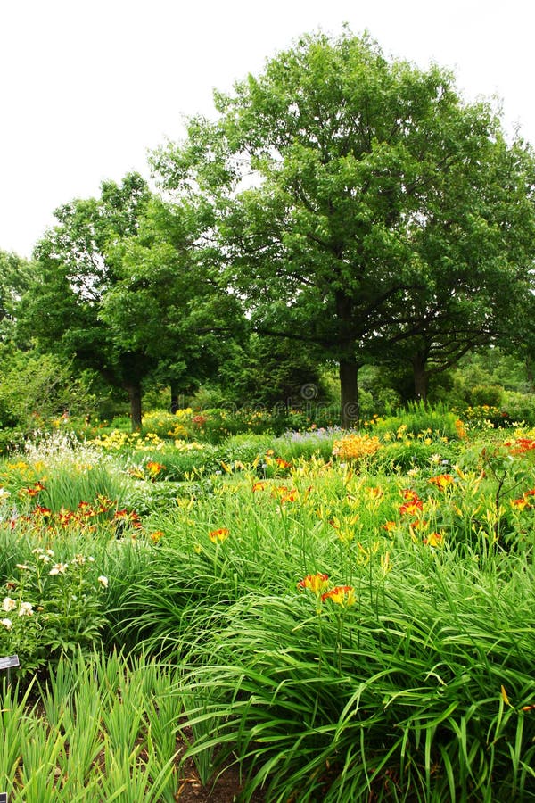 Wild flowers garden stock image. Image of fence, blue - 1650609