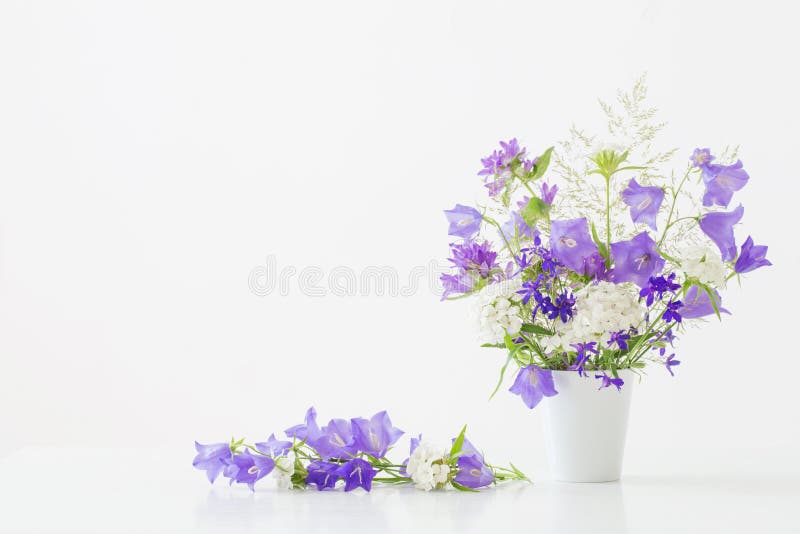 Flowers in Vase on White Background Stock Photo - Image of green ...