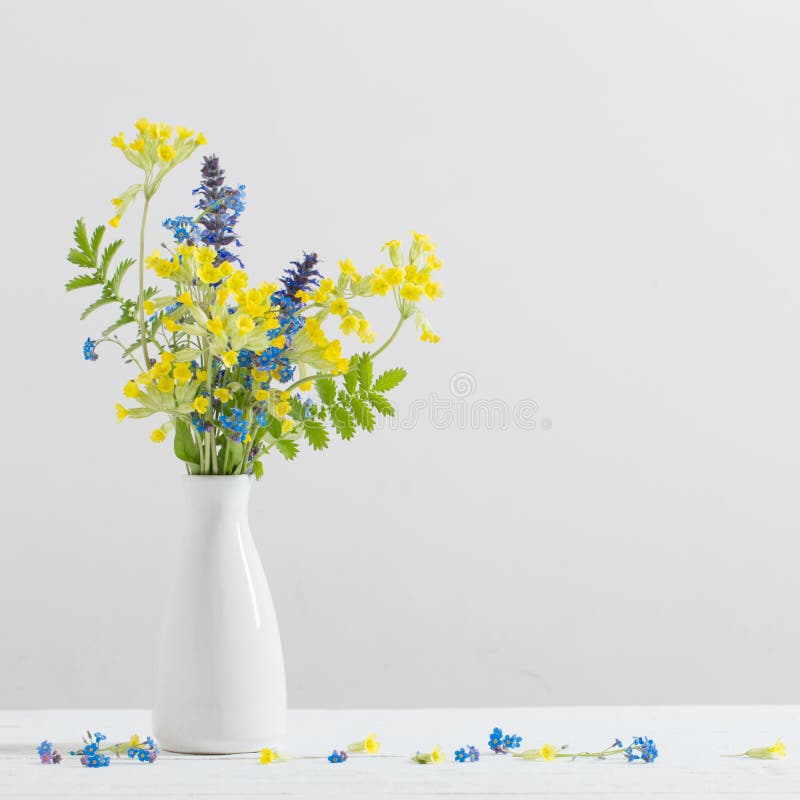 Flowers in Vase on White Background Stock Photo - Image of botanic ...