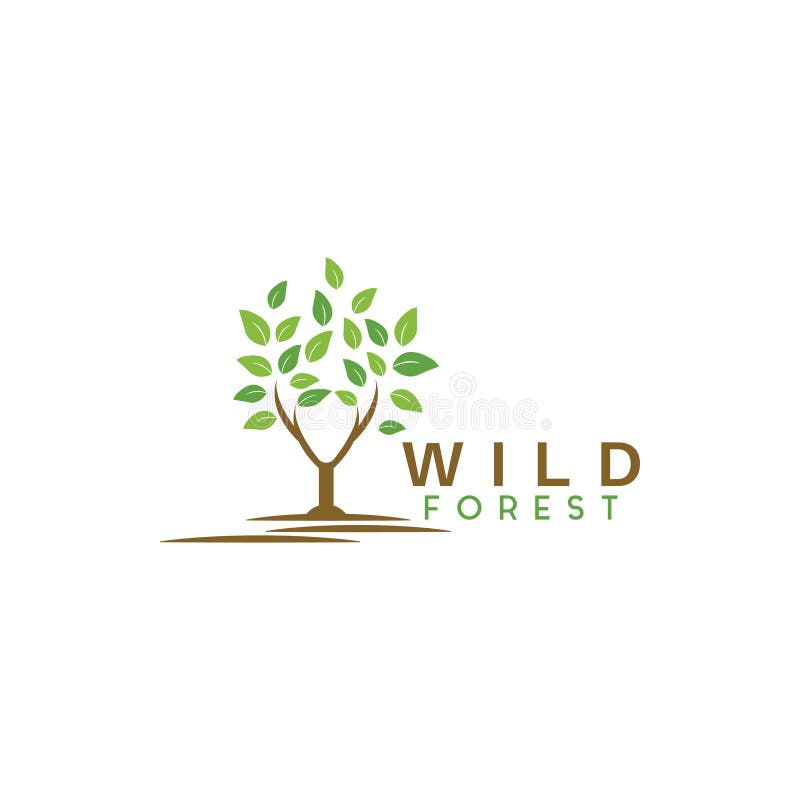 Wild Forest Logo Graphic Design Template Vector Illustration Stock ...