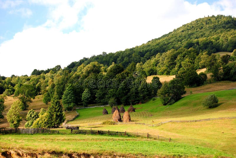 Wild Forest Mountains in Romania Stock Image - Image of calmness, grass ...