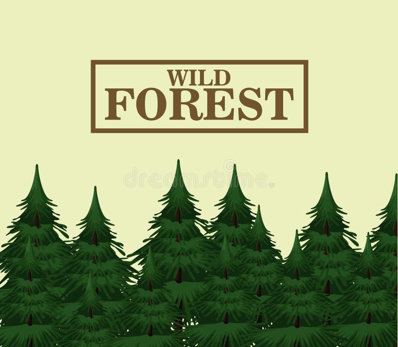 Wild forest trees stock vector. Illustration of foliage - 113444013