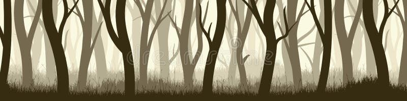 Wild Forest with Various Coniferous or Deciduous Trees. Wide Horizontal ...