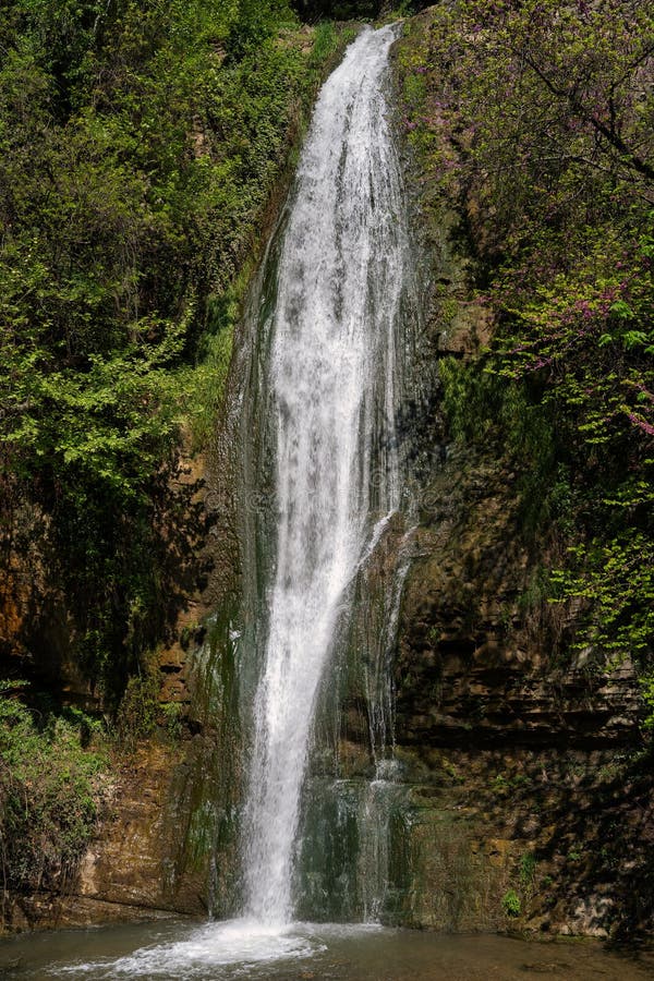 Wild Forest Waterfall in Daylight. Vertical Stock Image - Image of ...