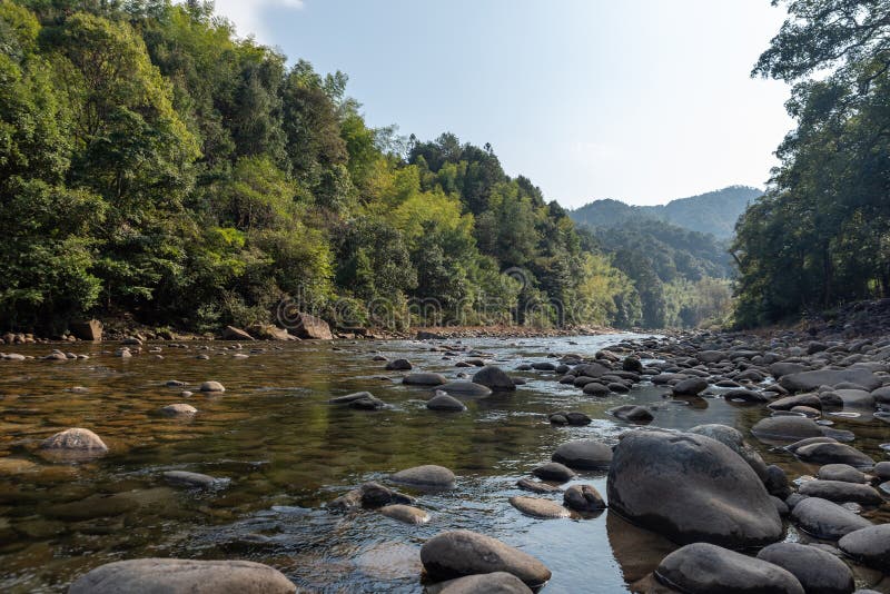 Wild Forests and Running Water in the Countryside Stock Photo - Image ...