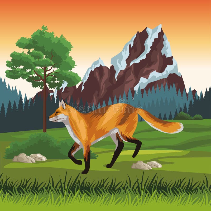 Wild Fox Animal in the Landscape Scene Stock Vector - Illustration of ...