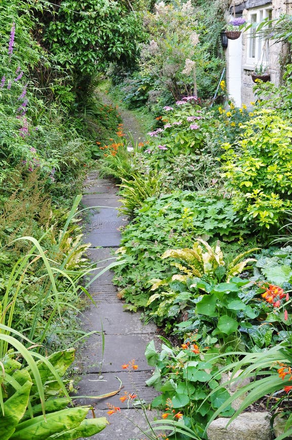 Wild Garden Pathway stock photo. Image of leafs, english - 15763380