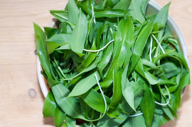 Wild Garlic, Ramsons on Wooden Table Stock Image - Image of broadleaved ...
