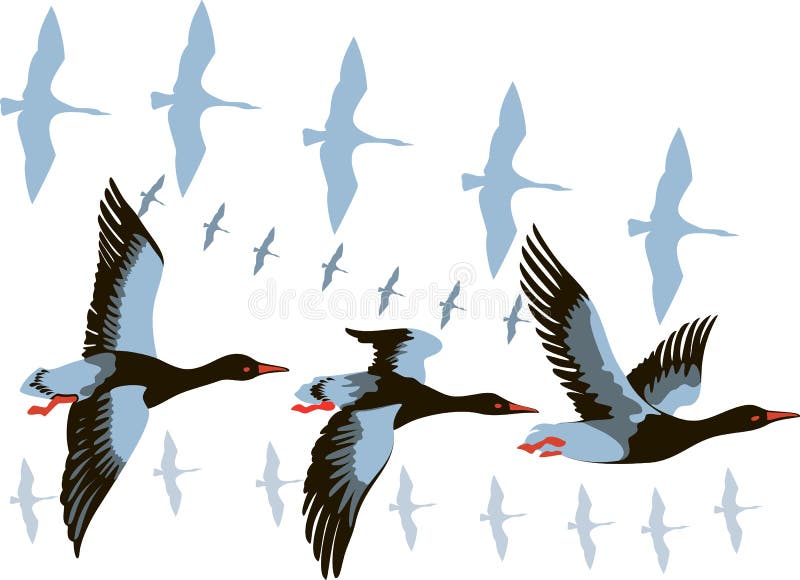 Geese Flying Formation Stock Illustrations – 89 Geese Flying Formation ...