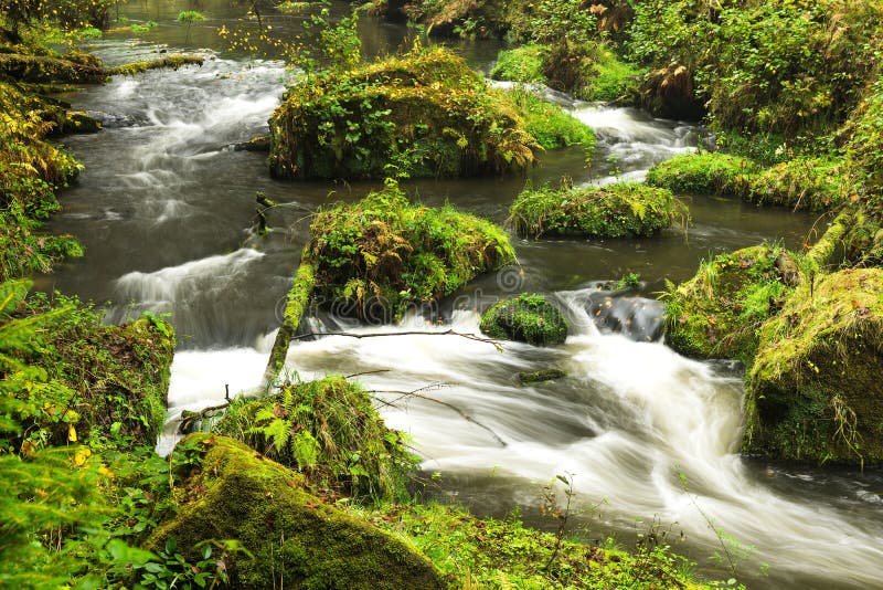 Wild Gorge stock photo. Image of natural, green, canyon - 80147920