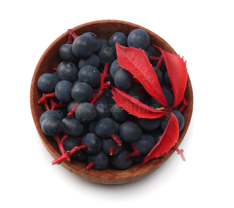 Wild Grapes Isolated on White. Top View Stock Photo - Image of golden ...